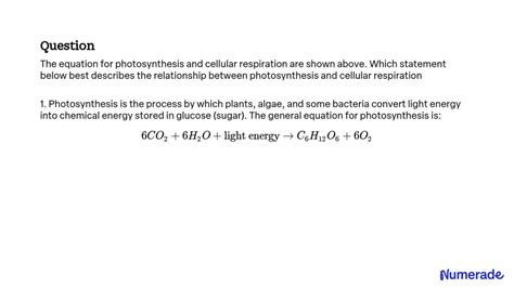 Solved The Equation For Photosynthesis And Cellular Respiration Are Shown Above Which