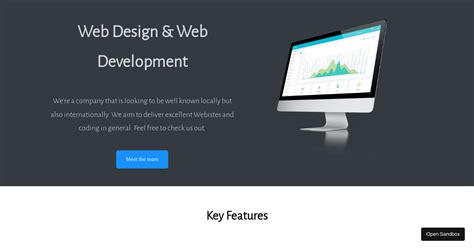 Vanilla Template Codesandbox