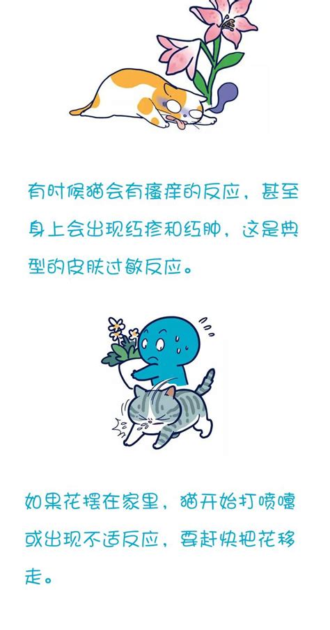 萌寵丨喵星人竟然會對主人過敏？還有哪些導致寵物貓過敏的可能性 每日頭條