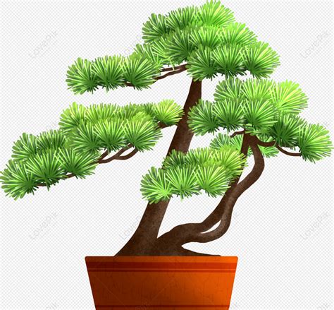 손으로 그린 만화 소나무 Png 일러스트 무료 다운로드 Lovepik