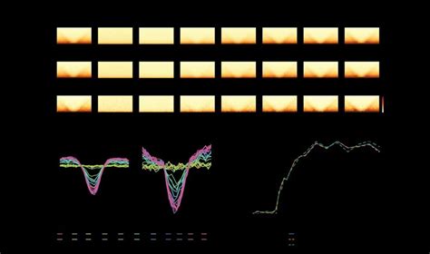 5 Tad And Compartment Domain Boundaries Form With Similar Kinetics A