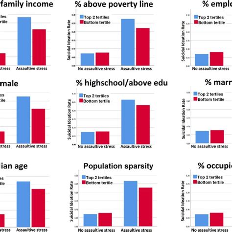 Visual Presentation Of The Interaction Of Assaultive Stress With