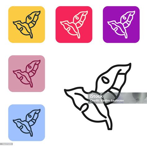 흰색 배경에 고립 된 야자수 아이콘의 검은 줄 열대 잎 색상 정사각형 단추로 아이콘을 설정합니다 벡터 0명에 대한 스톡 벡터 아트 및 기타 이미지 Istock