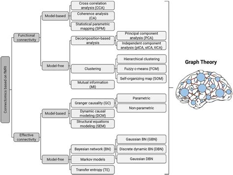 Graph Theory For Identifying Connectivity Patterns In Human Brain Networks Geometry Matters