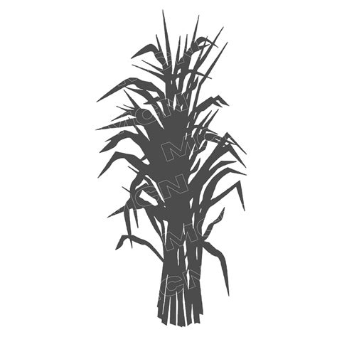 Cornstalk Png Etsy
