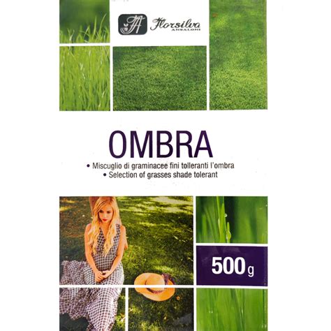 Buy Lawn Grass Seed 500gr Shade Tolerant And Strong Order Plants