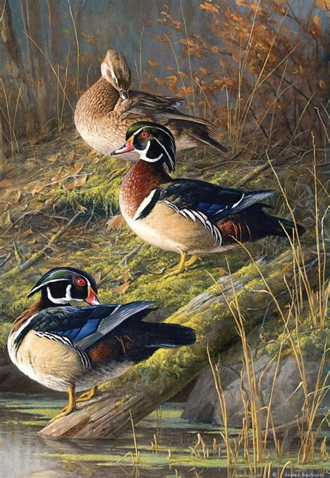 Pin By Frannie Luzetsky On Birds Wildlife Art Birds Painting Duck Art