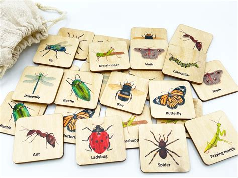 Wooden Insect Bug Memory Game Montessori Insect Bug Matching Cards