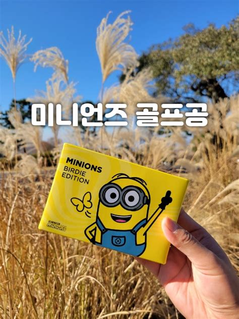 미니언즈 골프공 홀인원에디션 골린이 선물 추천우레탄 골프공 선물용 골프공 네이버 블로그