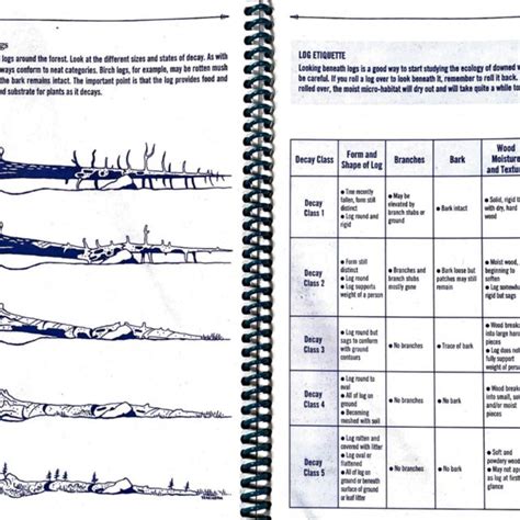 Assessment Of Log Decay Class From Ontarios Old Growth A Learners