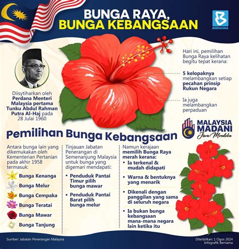 Bunga Raya Bunga Kebangsaan Merdeka360