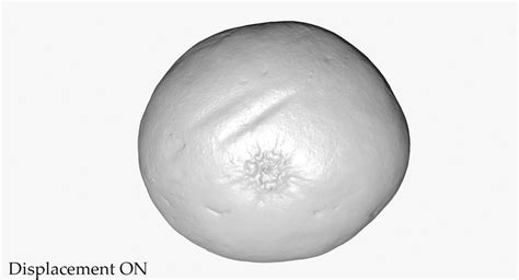 Common Fig 3d Model 29 3ds Fbx Obj Max Gltf Usdz Free3d