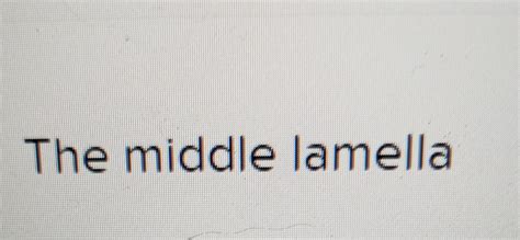 Solved The Middle Lamella Appears During Anaphase Is An