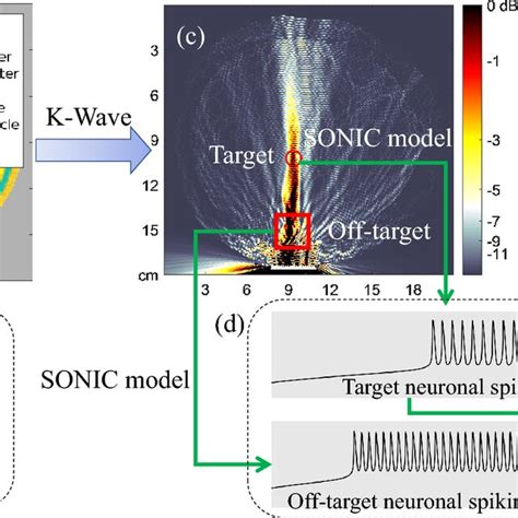 The Computational Modeling Method Of Unintended Neuronal Excitation