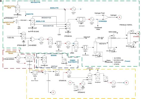 Biorefinery For The Processing Of Jatropha Curcas Fruit Part 1