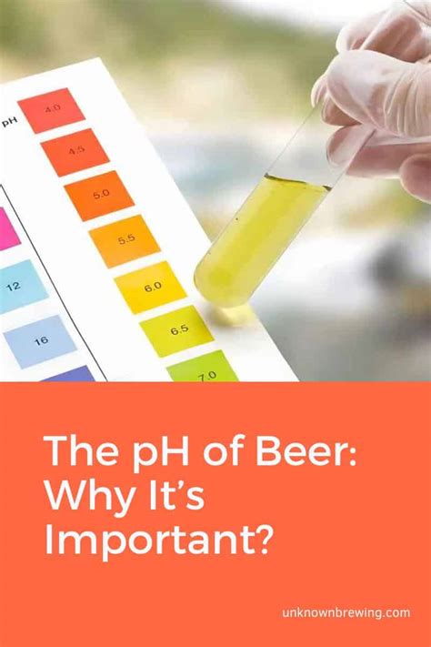 The Ph Of Beer Why Its Important