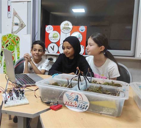 Aydından Finalist Yenilenebilir Enerji Projesi Kara Yosunlarından Elektrik Üretimi Günaydın