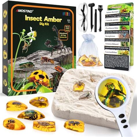 Amber Mega Fossil Dig Kit，real Crystals And Gemstone Fossil Science Kits