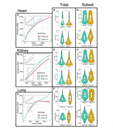 Measurements Of Rna Capture Gene Mapping And Subsampling Of Cells From Download Scientific