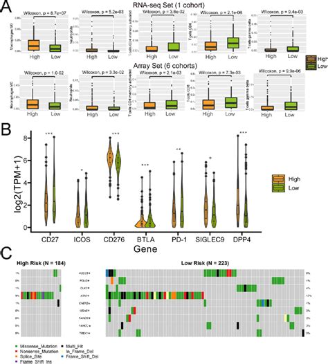 Immune Microenvironment And Ddr Mutation Rates In High Risk And Download Scientific Diagram