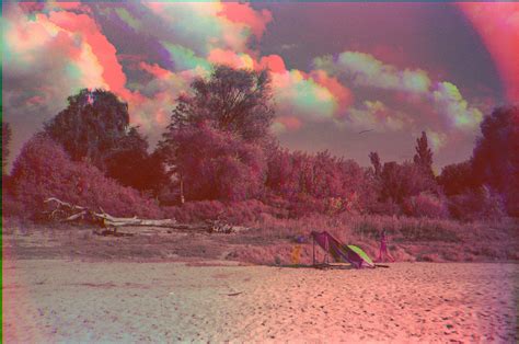 Promise Progress And Payoff In Story Acts