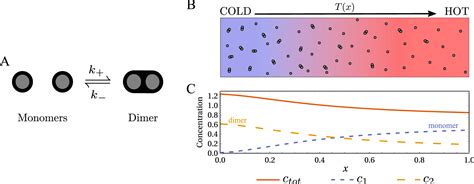Emergent Thermophoretic Behavior In Chemical Reaction Systems Iopscience