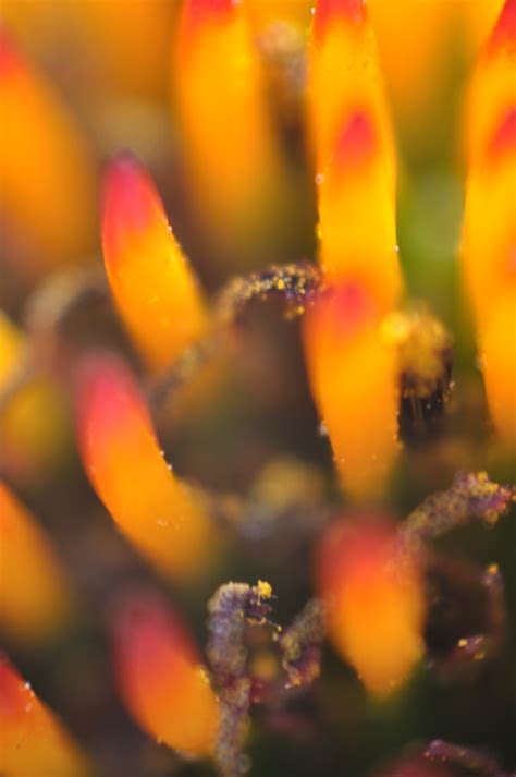 Candy Corn Factory By Goldleo On Deviantart