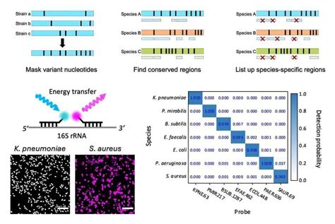 Diagnostic Technology Achieves Near 100 Accuracy In Pathogen Identification Within Three Hours