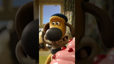 تماشای ویدیو گوسفندان کیک می‌پزند🐑🐑🐑 شورت شانگوسفند اینما