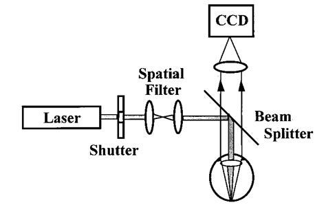 Schematic Diagram Of The Experimental Ocular Speckle Interferometry Download Scientific Diagram