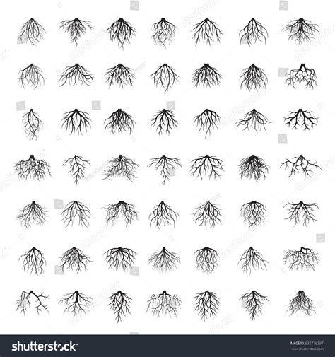 Tree Many Roots Images Stock Photos Vectors Shutterstock