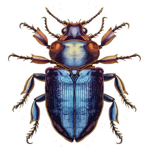 Premium Vector Beetle Insect Vector Illustration