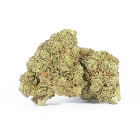 Comatose Strain Premium Cannabis Flower At Hash Online Canada