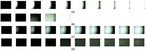 Automatic Optical Path Alignment Method For Optical Biological Microscope