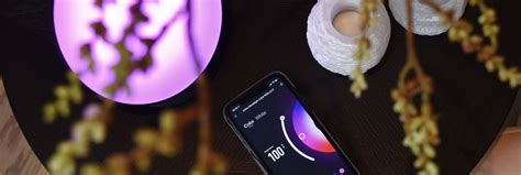 calex product overview