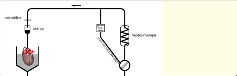 Schematic Diagram Of The Perfusion Decellularization Porcine Heart Download Scientific Diagram