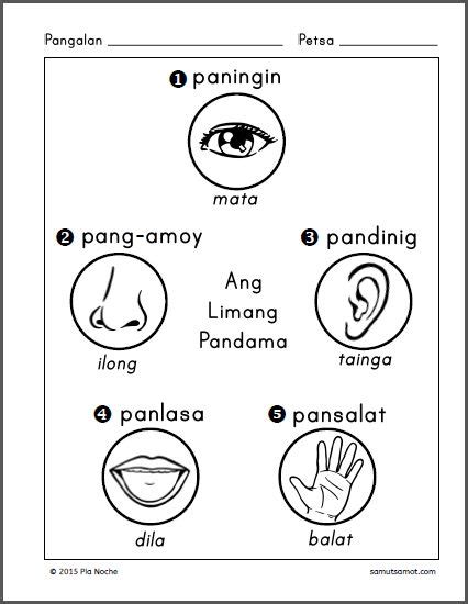 Ang Limang Pandama Samut Samot Tagalog Kindergarten Worksheets