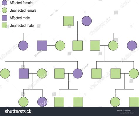 Pedigree Chart Autosomal Dominant