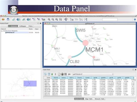 Cytoscape 3 Tutorial Wptiklo