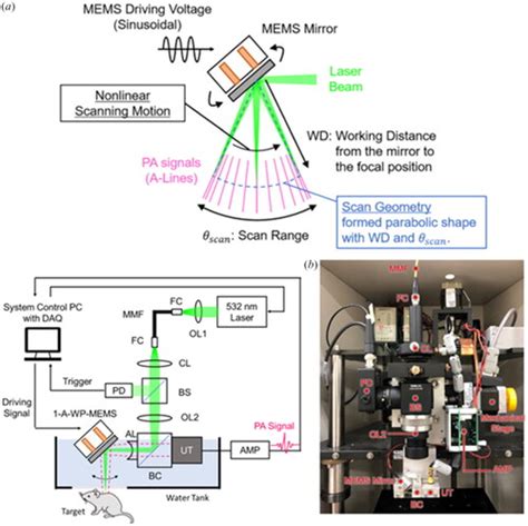 Full Article Comparison Of Mems Based Photoacoustic Microscopy In