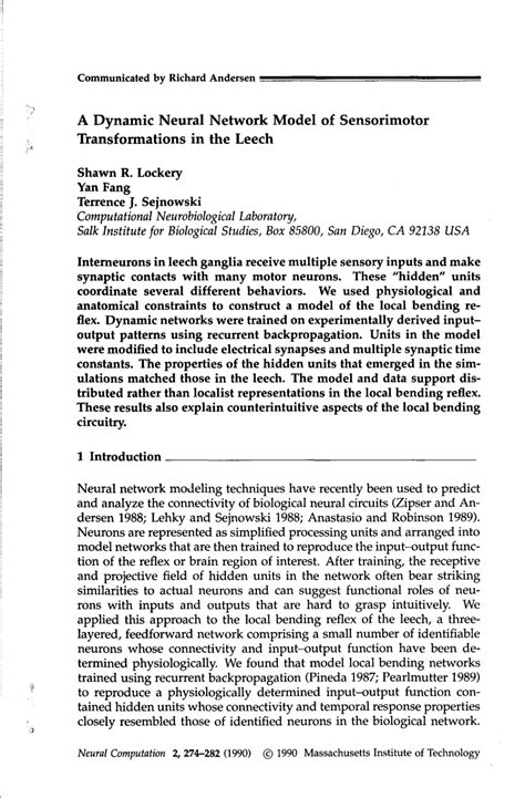 Pdf A Dynamic Neural Network Model Of Sensorimotor Transformations In The Leech