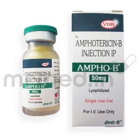 Amphotericin B Injection 50 Mg 1 Vial At Rs 500 Piece In Ahmedabad Id 2851652368333