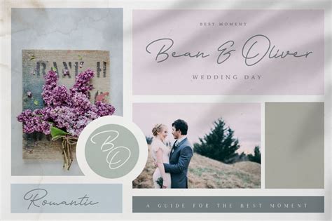 Orlando Signature Free Script Font Pixel Surplus