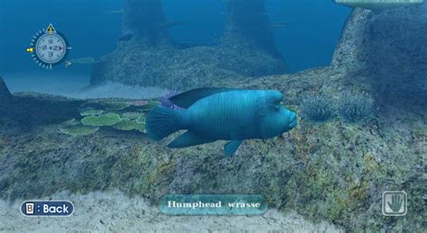 Endless Ocean 2007 Wii Screenshots