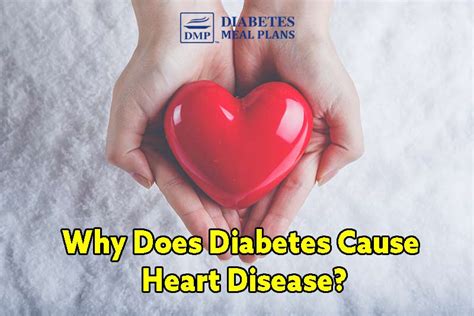 Why Does Diabetes Cause Heart Disease