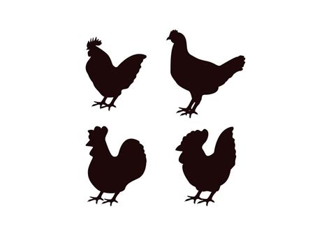 Chicken Outline Vector Art Icons And Graphics For Free Download