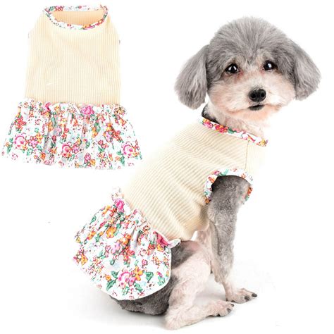 Cute Dogs Wearing Clothes