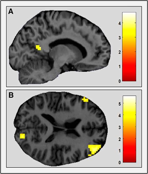 Retrosplenial Cortex Indexes Stability Beyond The Spatial Domain