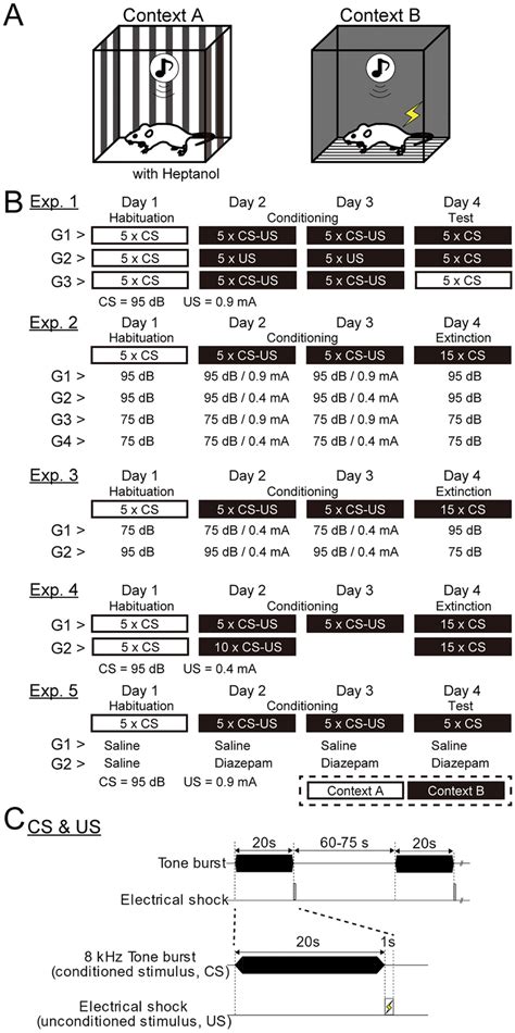 The Designs Of Fear Conditioning Experiments A Schematic Drawings Of