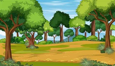 Blank Nature Forest Landscape Scene With Many Trees 1953439 Vector Art